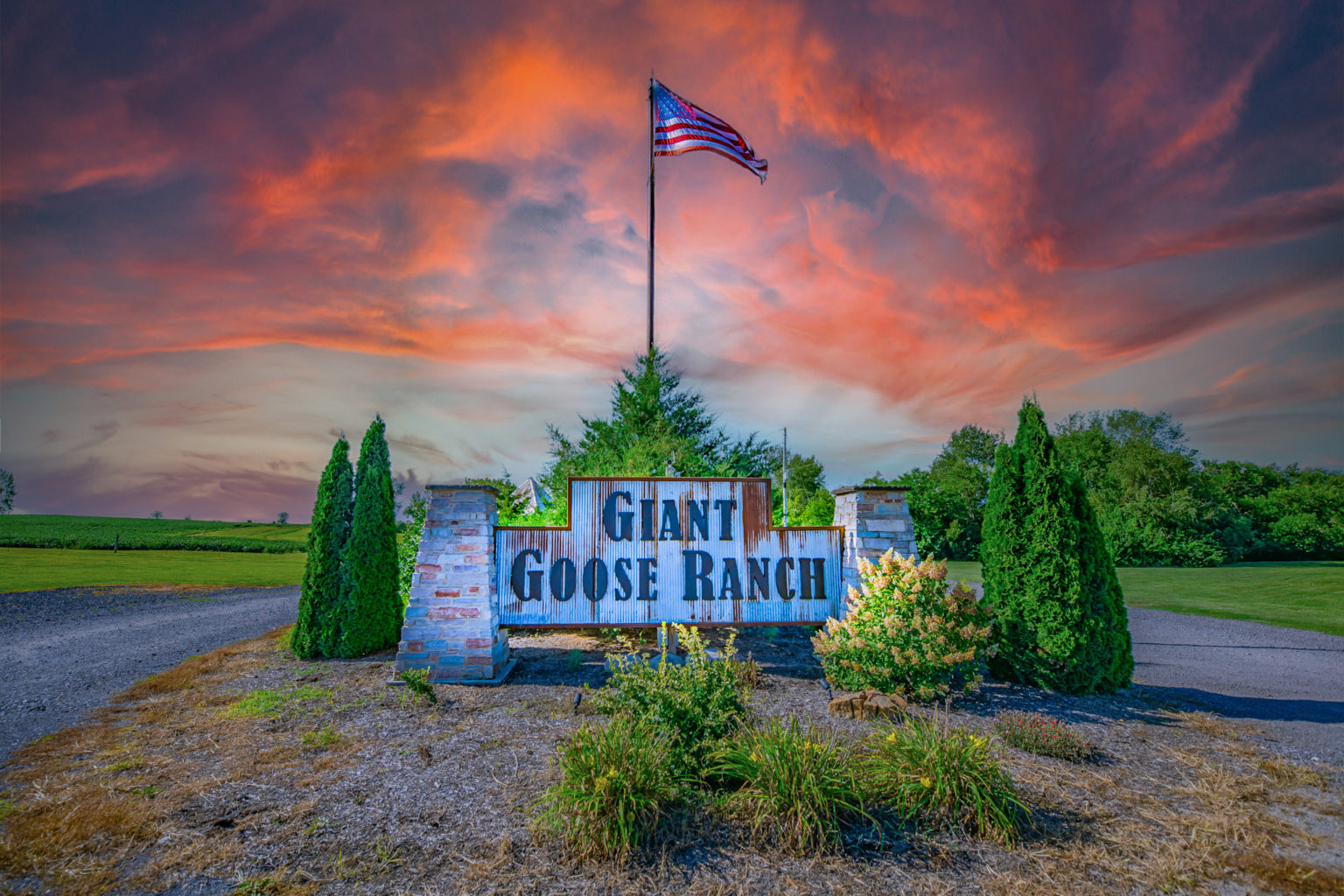 Area Attractions - City of Canton