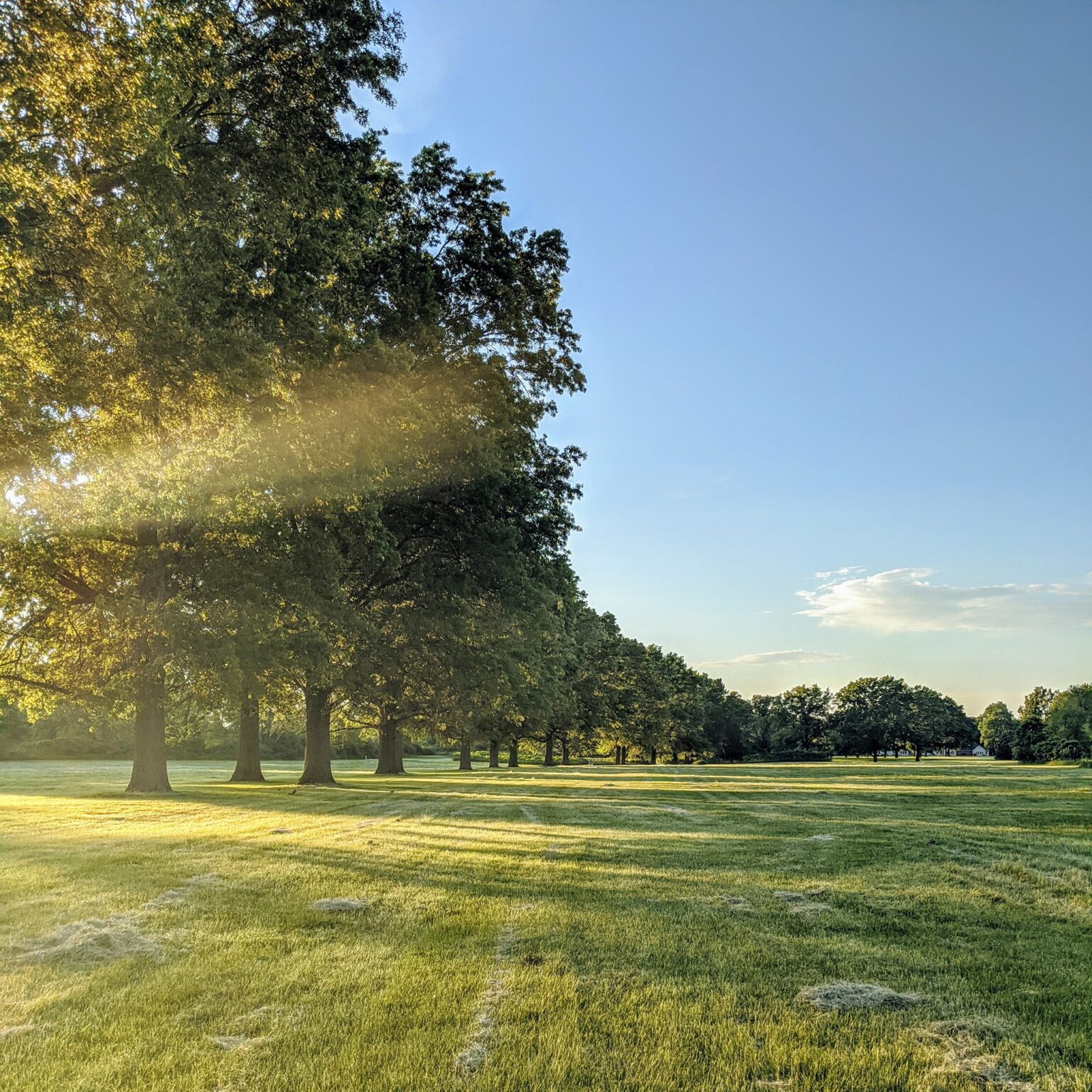 Area Attractions - City of Canton